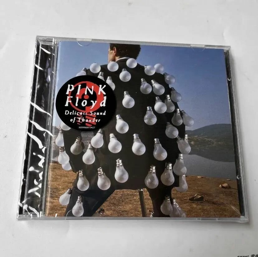 2CD Pink Floyd Деликатный звук грома