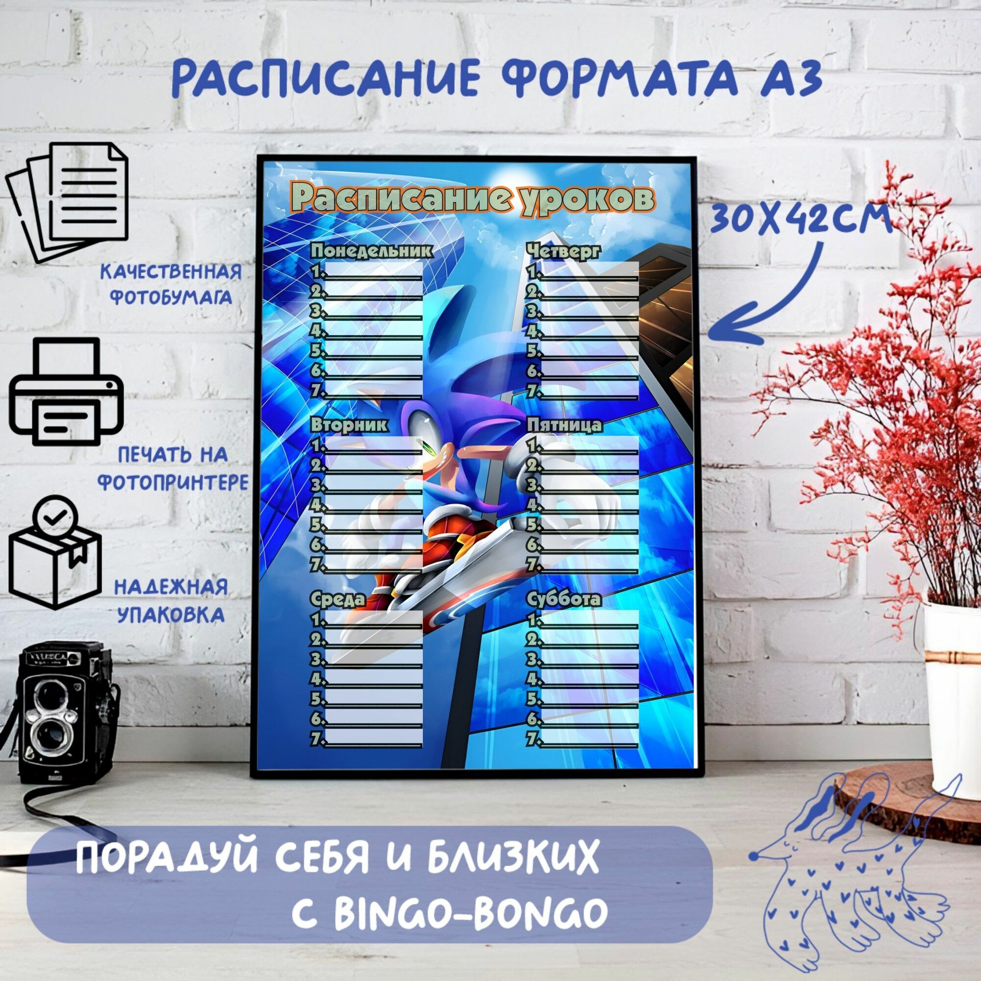 Расписание уроков формата А3 с принтом Соник