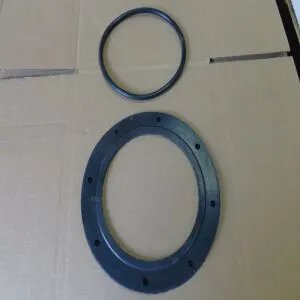 Кольца уплотнительные погружного бензонасоса (круглое + плоское) Газель