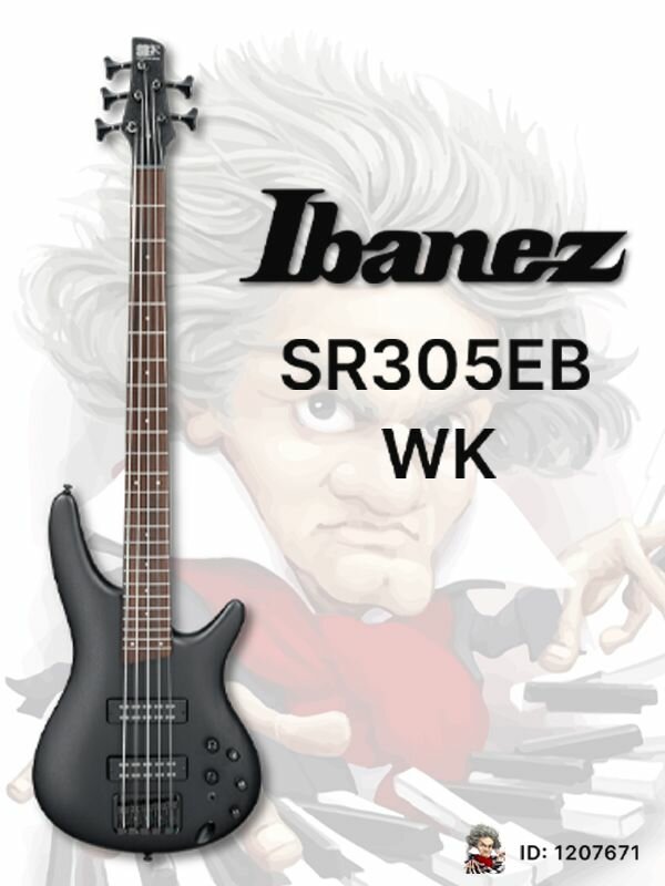 IBANEZ SR305EB-WK Пятиструнный бас