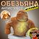 Игрушка-антистресс