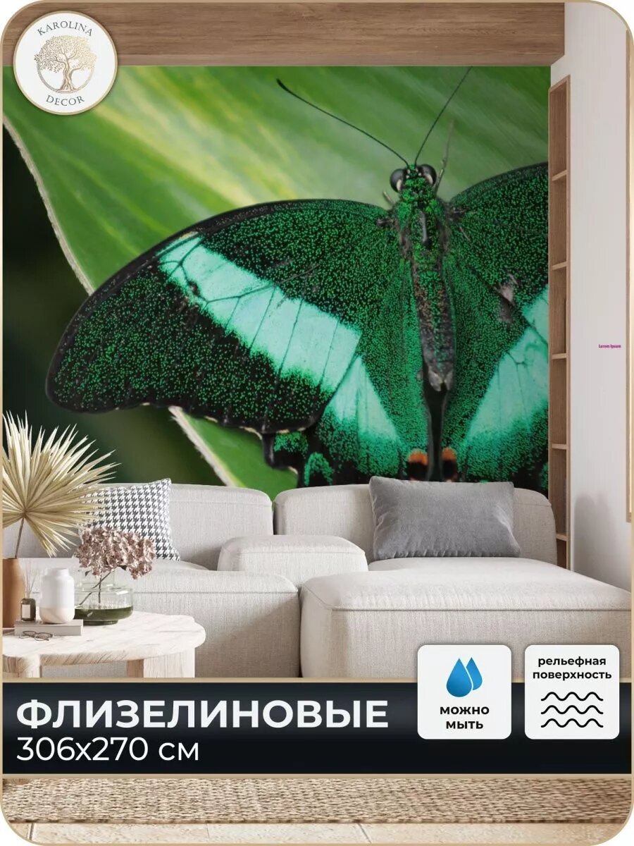 Фотообои Бабочка в детскую в спальню на кухню 300х270