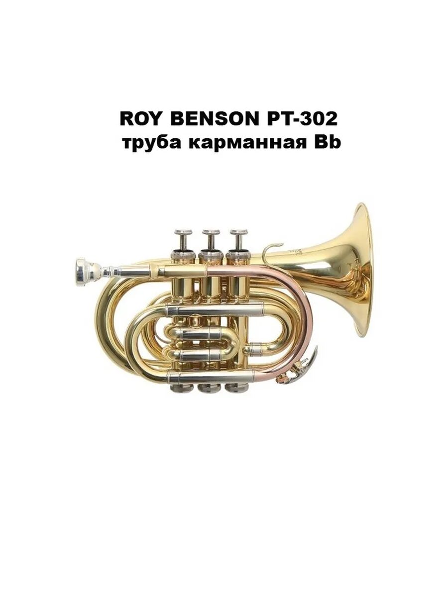 ROY BENSON PT-302 - труба карманная Bb