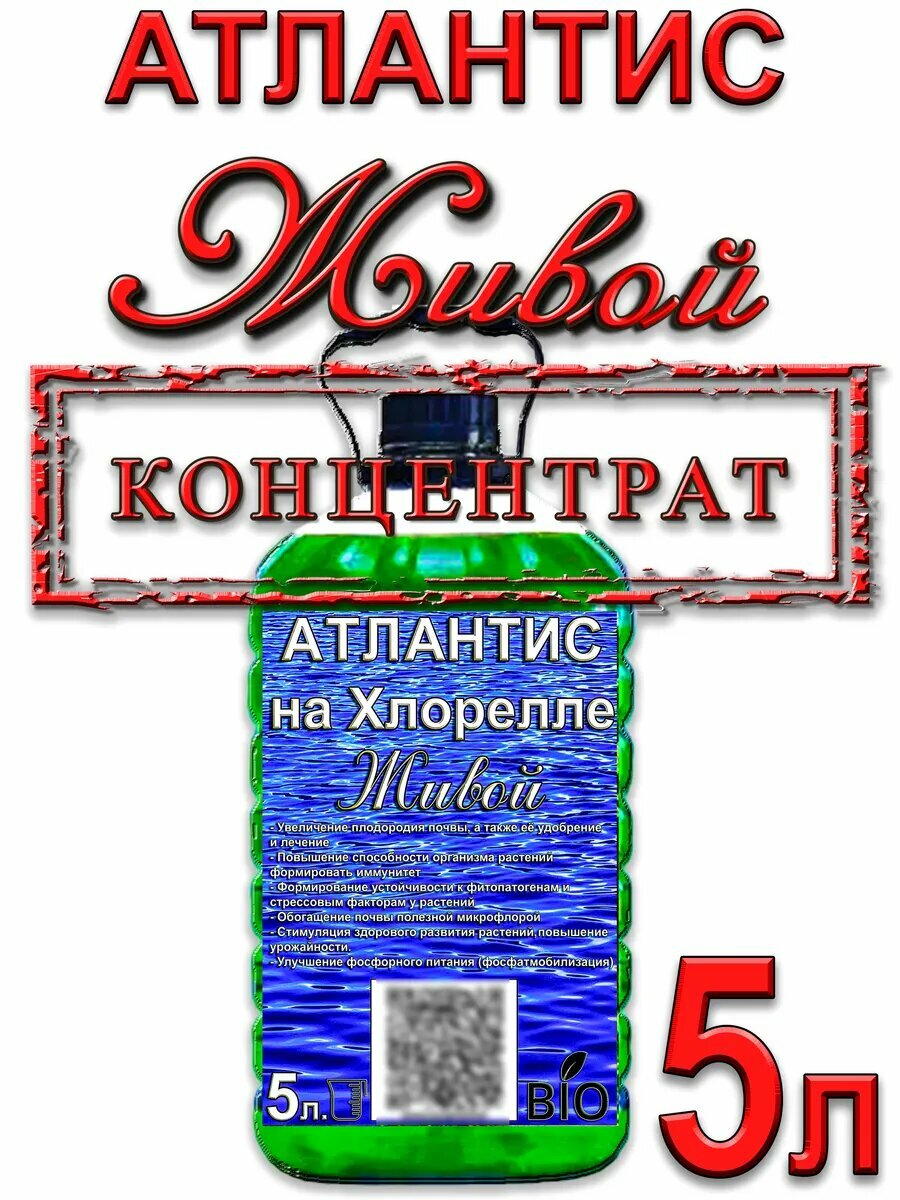 Атлантис. Живой на Хлорелле (Pseudomonas, Bacillus), 5 л