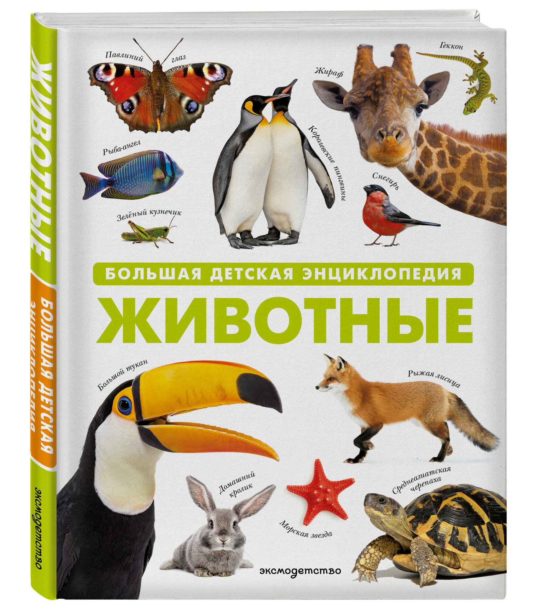 Животные. Большая детская энциклопедия