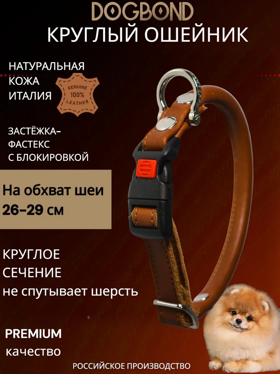 Dogbond Ошейник для шпица круглый кожаный 26-29 см