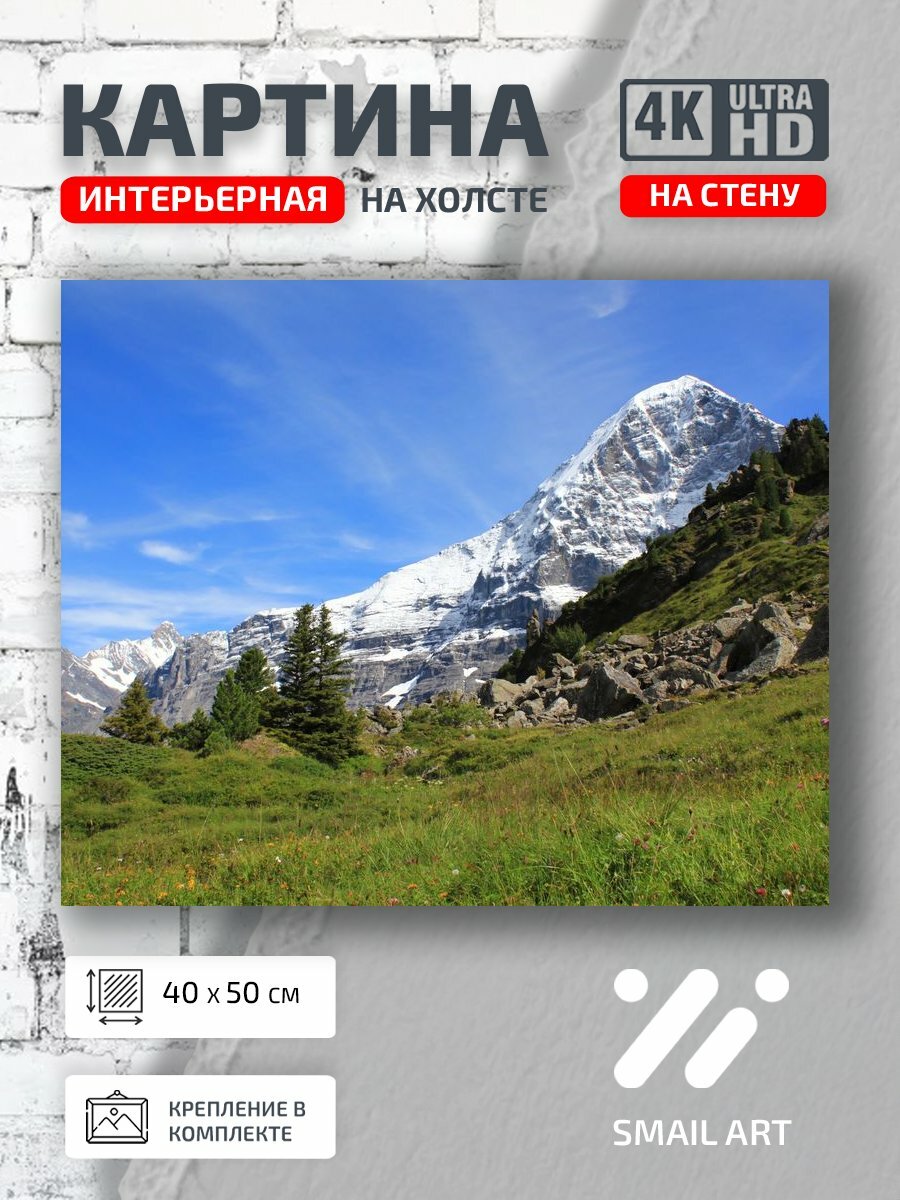 Картина на холсте интерьерная 40 на 50 на стену Гора Landscape для кафе пейзаж интерьер