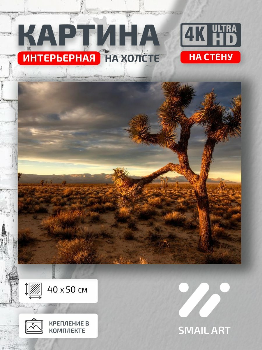 Картина на холсте интерьерная 40 на 50 на стену Закаты Landscape для кафе пейзаж интерьер