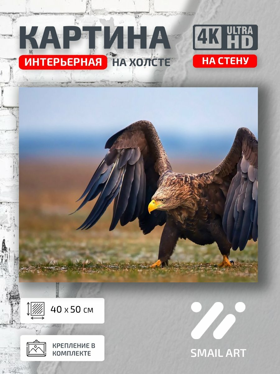 Картина на холсте интерьерная 40 на 50 на стену Трава Animal для детской animal style декор