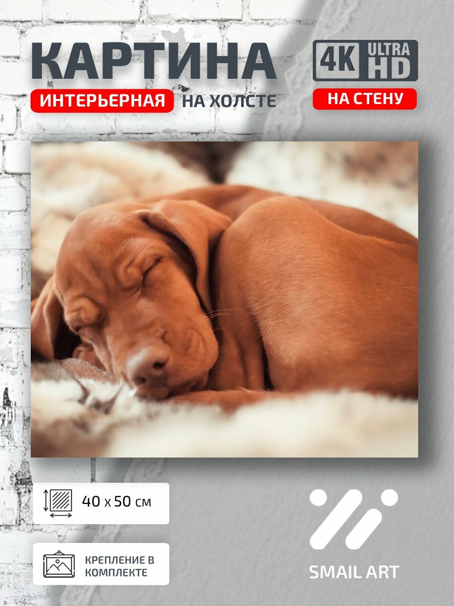 Картина на холсте интерьерная 40 на 50 на стену Рыжий Mood для гостиной атмосфера интерьер
