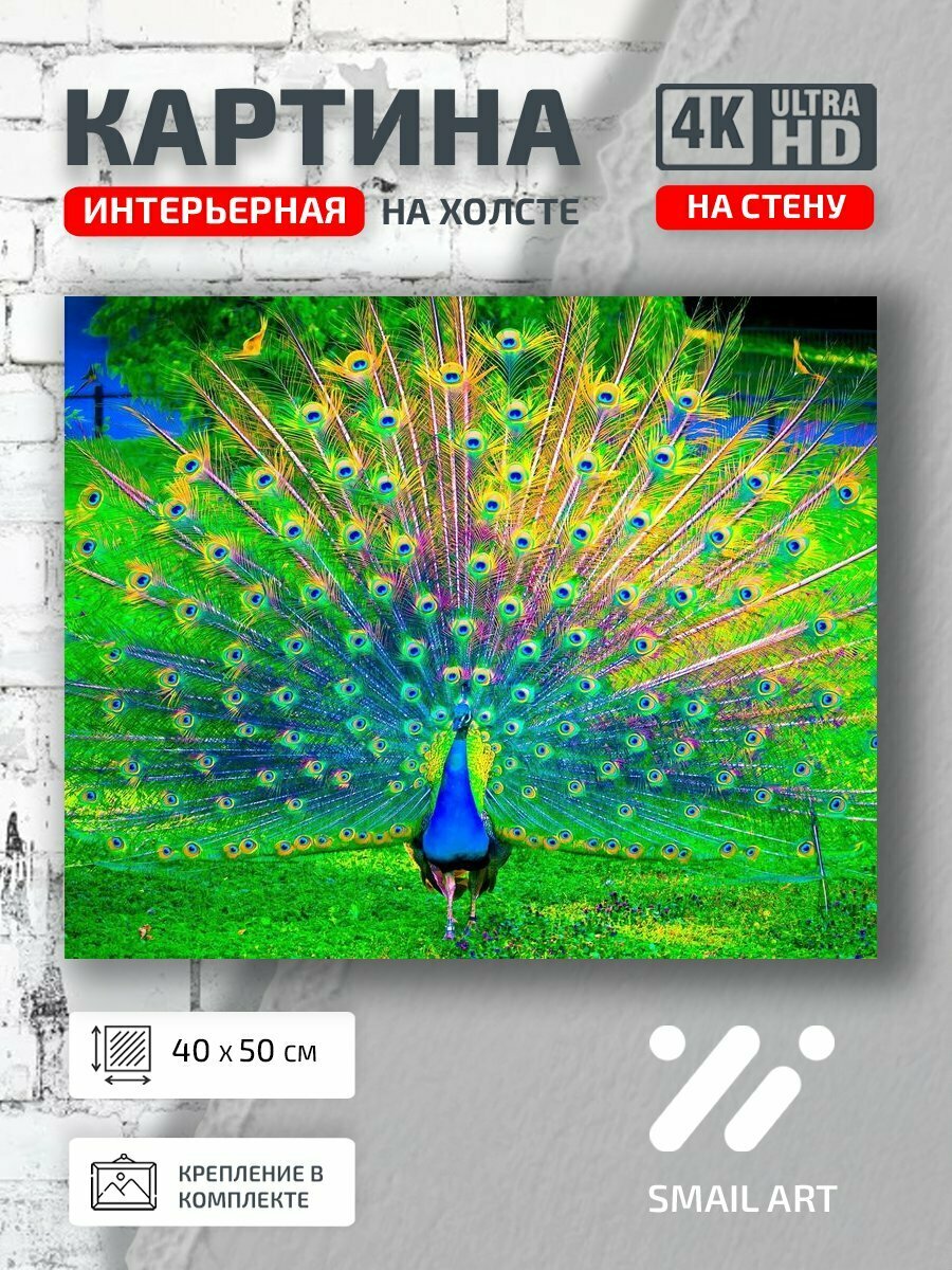 Картина на холсте интерьерная 40 на 50 на стену Краски Mood для студии атмосфера интерьер