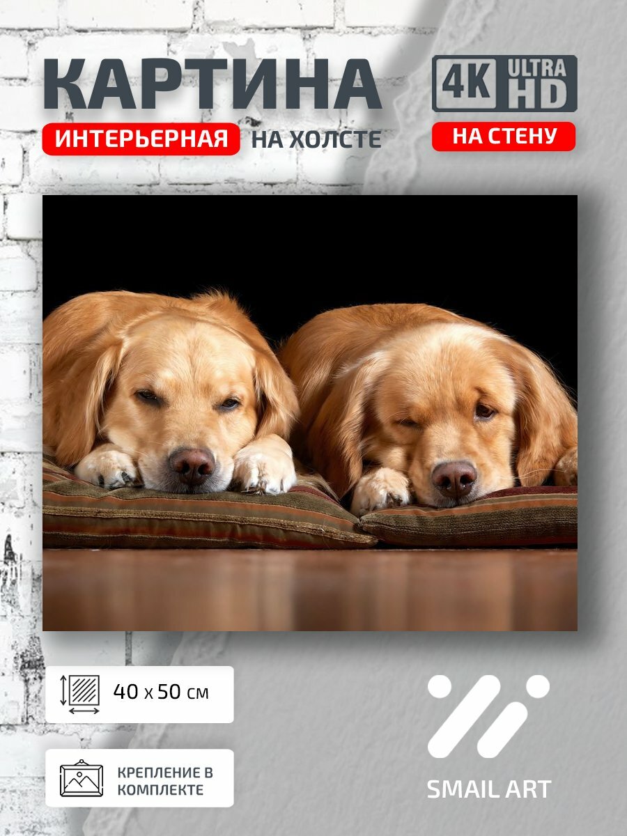 Картина на холсте интерьерная 40 на 50 на стену Сон Mood для кабинета атмосфера интерьер