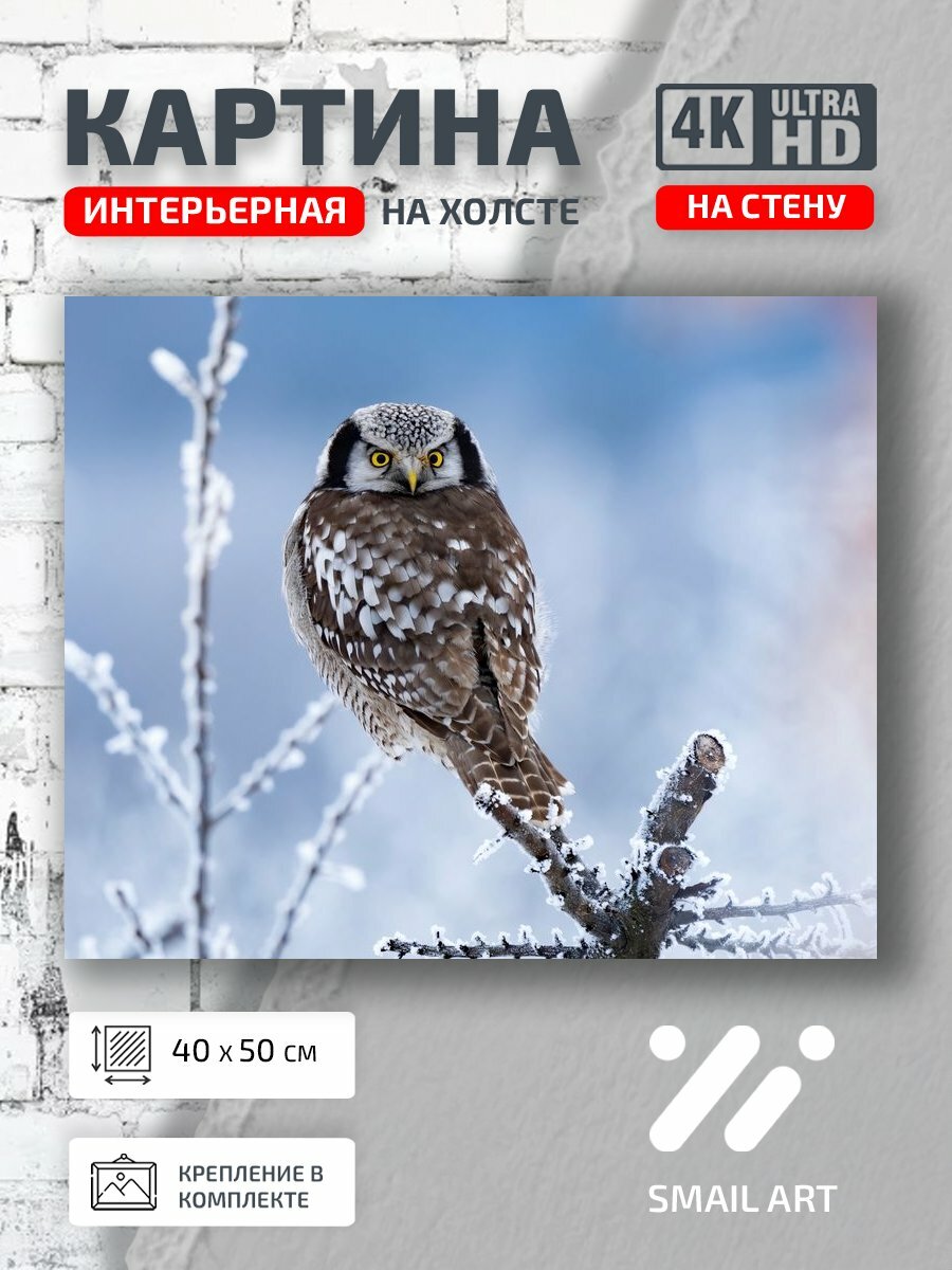 Картина на холсте интерьерная 40 на 50 на стену Зима Animal для гостиной animal style декор