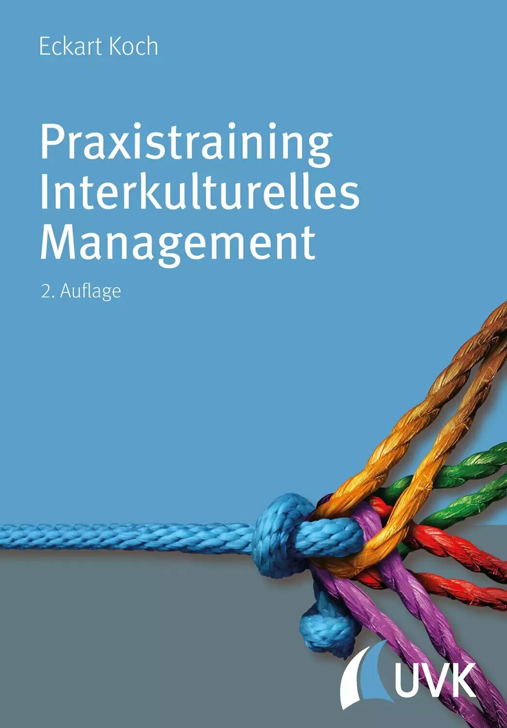 Praxistraining Interkulturelles Management [Цифровая книга]