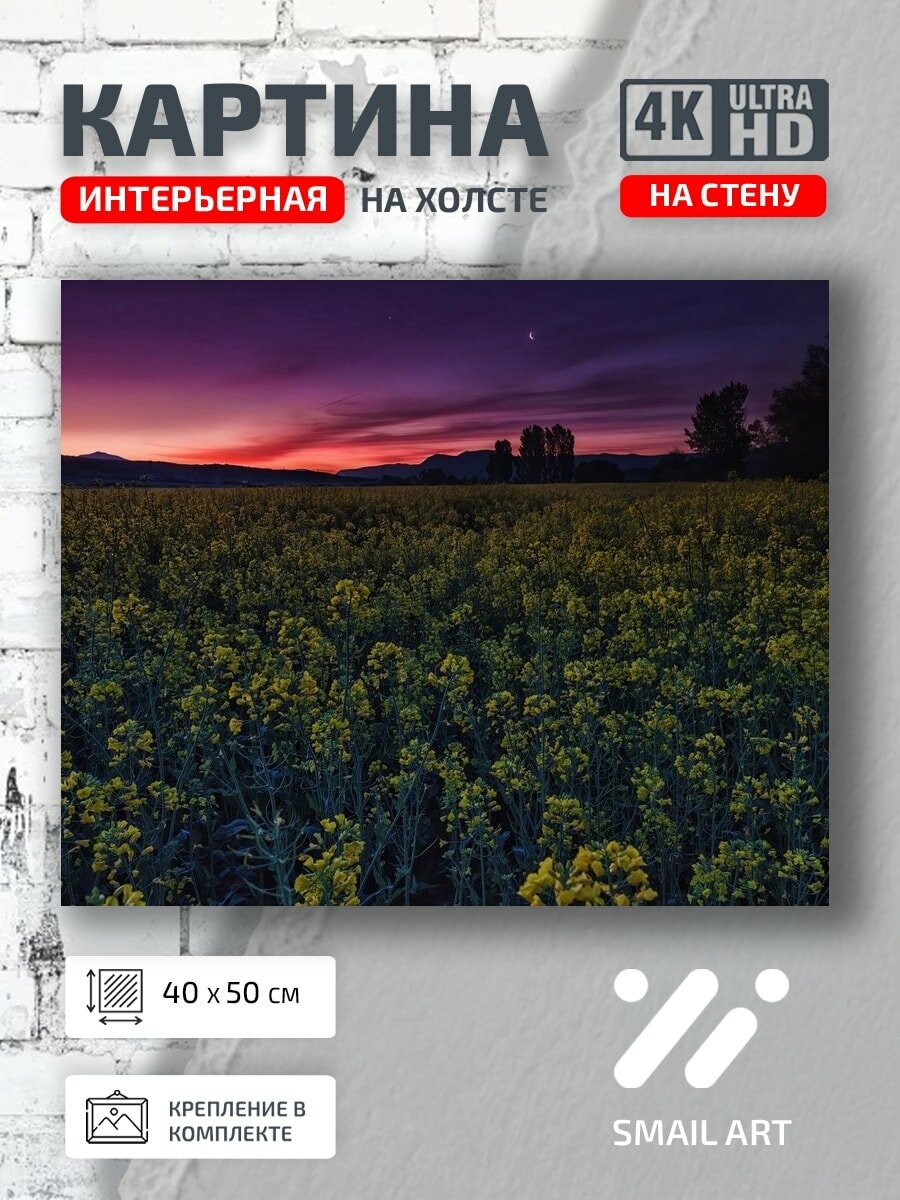 Картина на холсте интерьерная 40 на 50 на стену рапсовое поле для кафе пейзаж