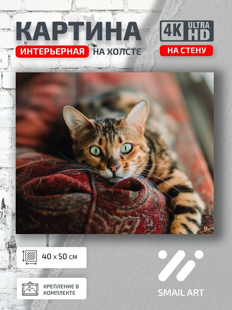 Картина на холсте интерьерная 40 на 50 на стену Животные Кот для гостиной атмосфера