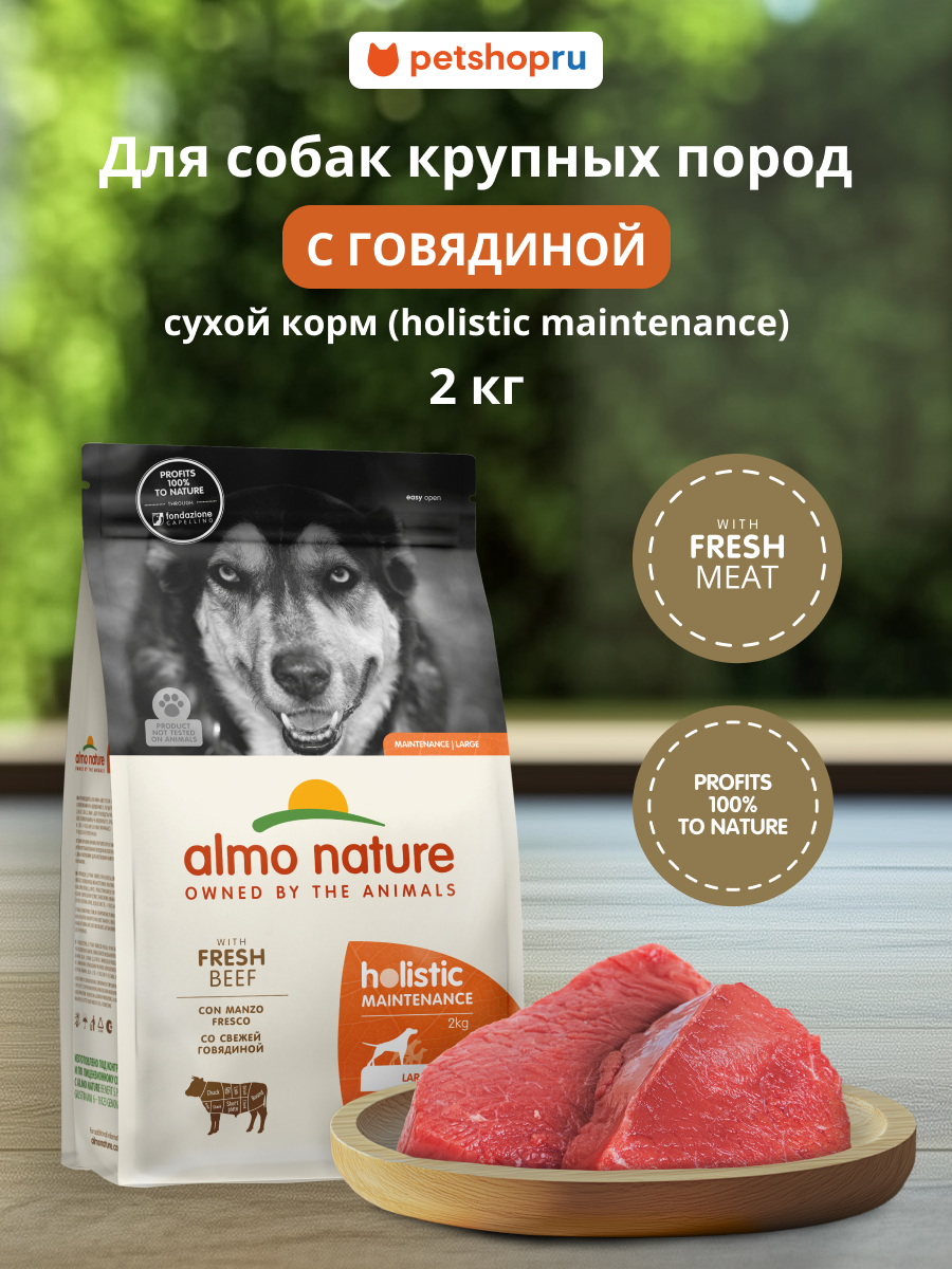 ALMO NATURE HOLISTIC Сухой корм для взрослых собак крупных пород со свежей говядиной, Life Maintenance, Large Breed, Fresh Beef, 2 кг