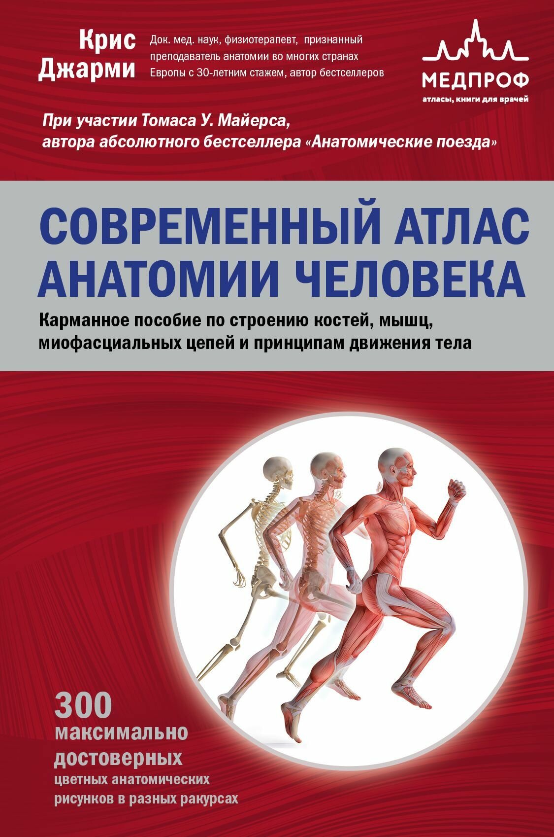Современный атлас анатомии человека. Карманное пособие по строению костей, мышц, миофасциальных цепе