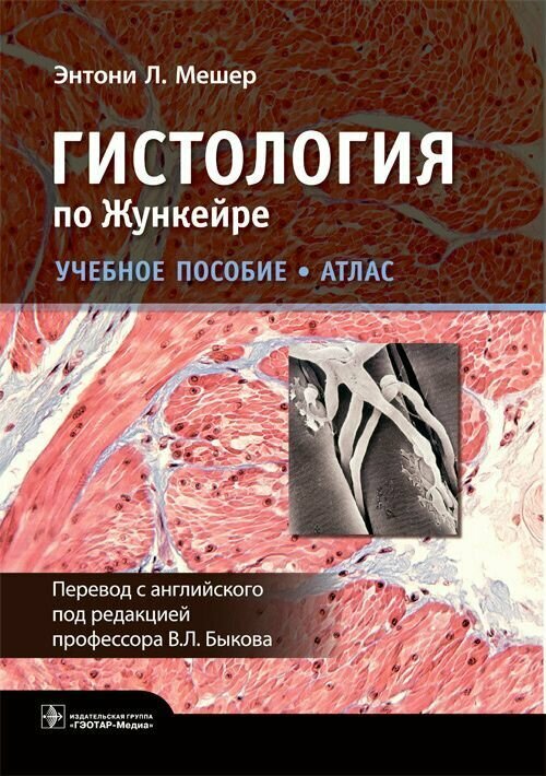 Гистология по Жункейре. Учебное пособие. Атлас / Э. Л. Мешер ; пер. с англ. под ред. В. Л. Быкова. —