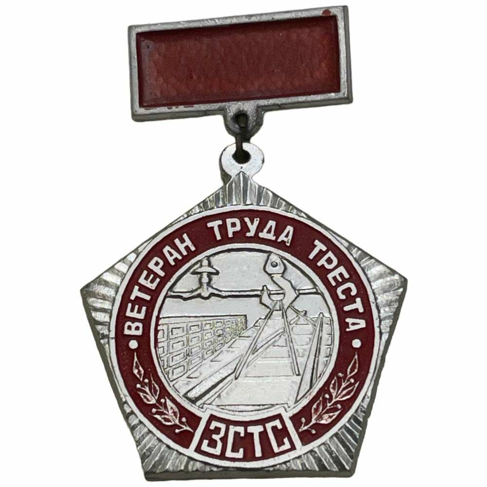 Знак "Ветеран труда треста зстс" (Запсибтрансстрой) СССР 1971-1980 гг.