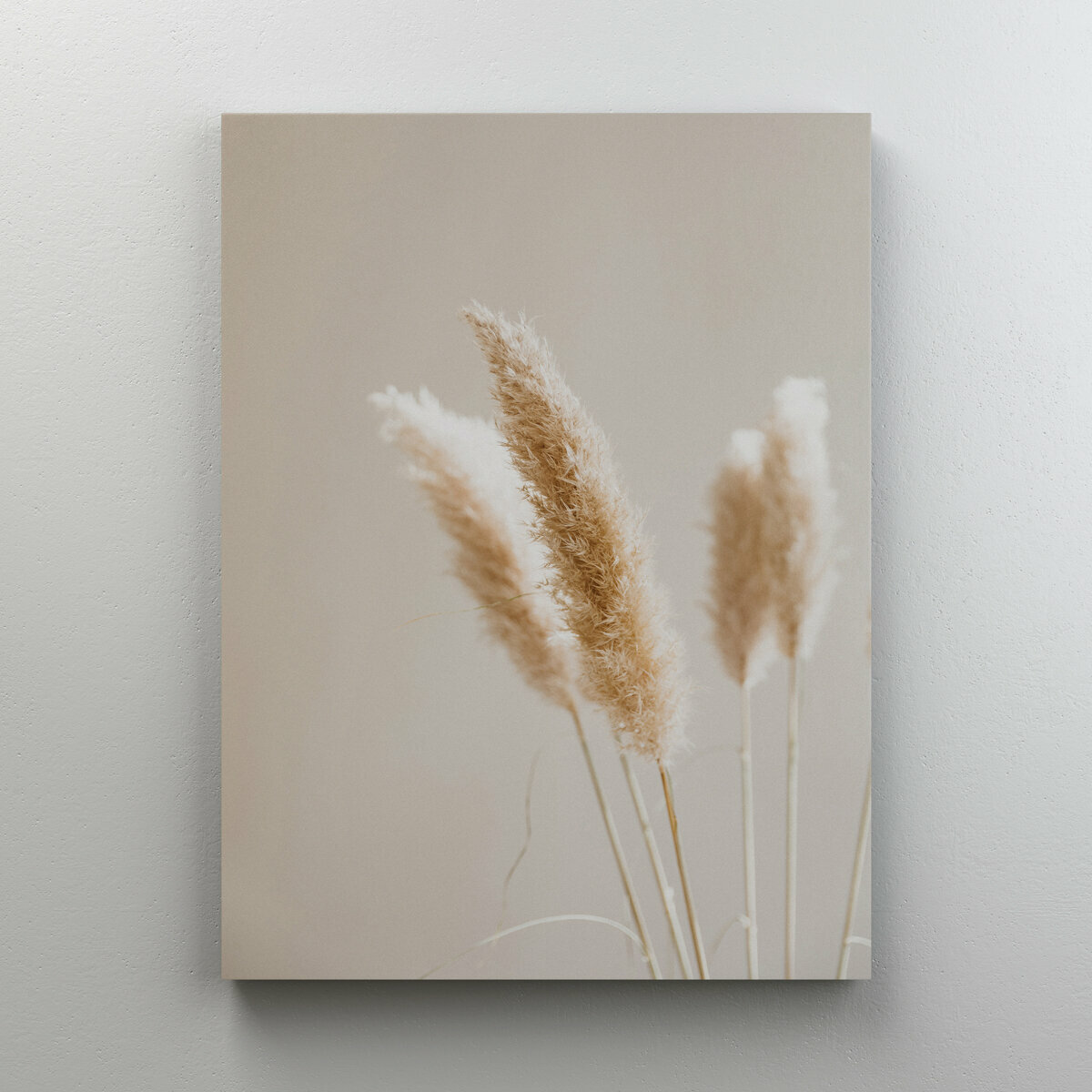Интерьерная картина на холсте "Бежевый камыш натюрморт" растения, размер 22x30 см