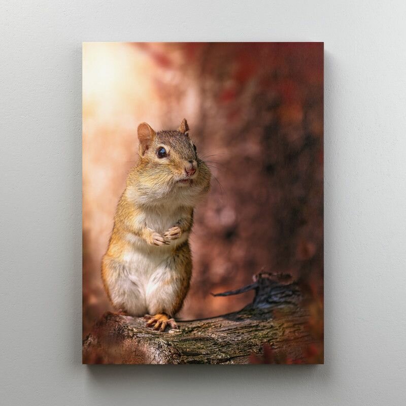 Интерьерная картина на холсте "Миленький бурундук" размер 30x40 см