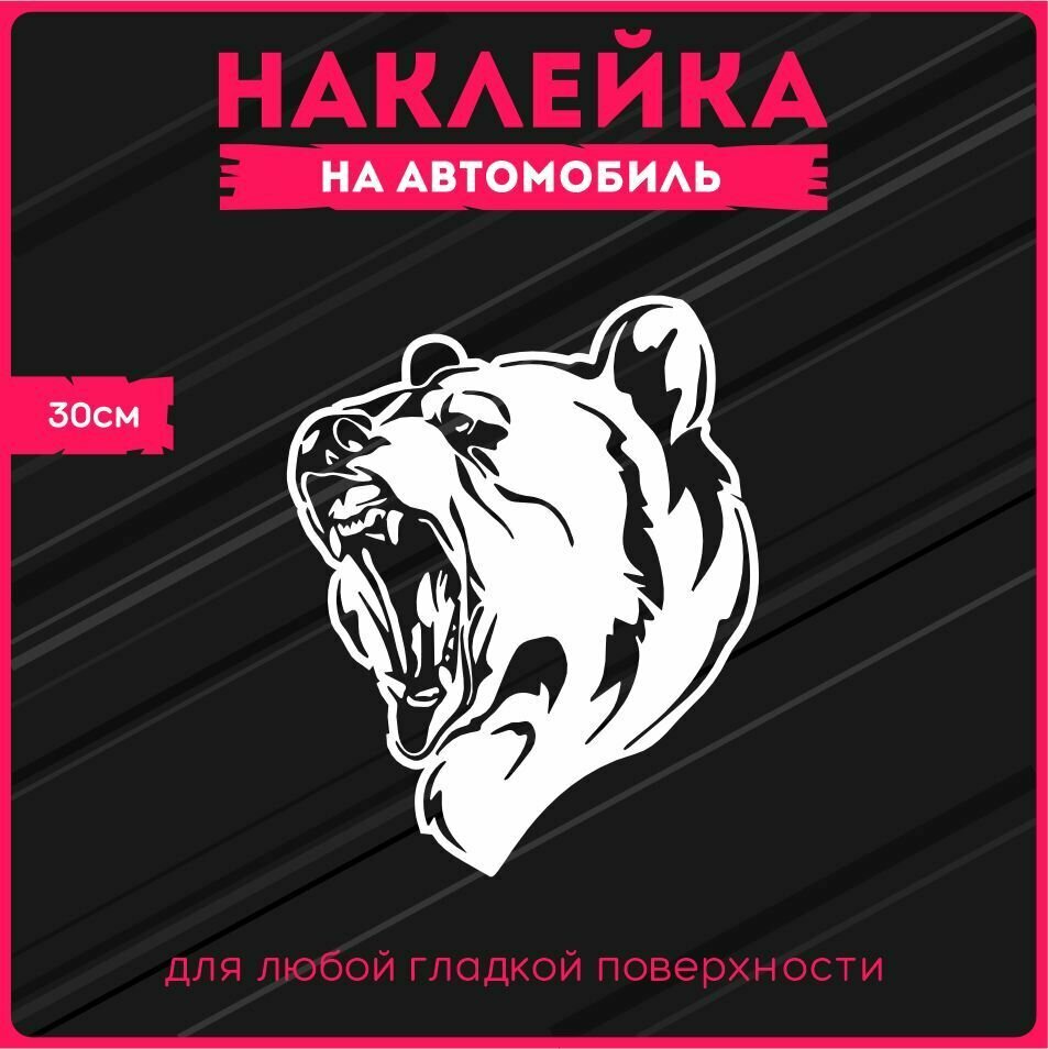 Наклейки на авто стикеры на стекло на кузов авто Зверь Хищник Медведь 30х24 см, KRASNIKOVA, наклейка тюнинг, на автомобиль, машину, прикольные