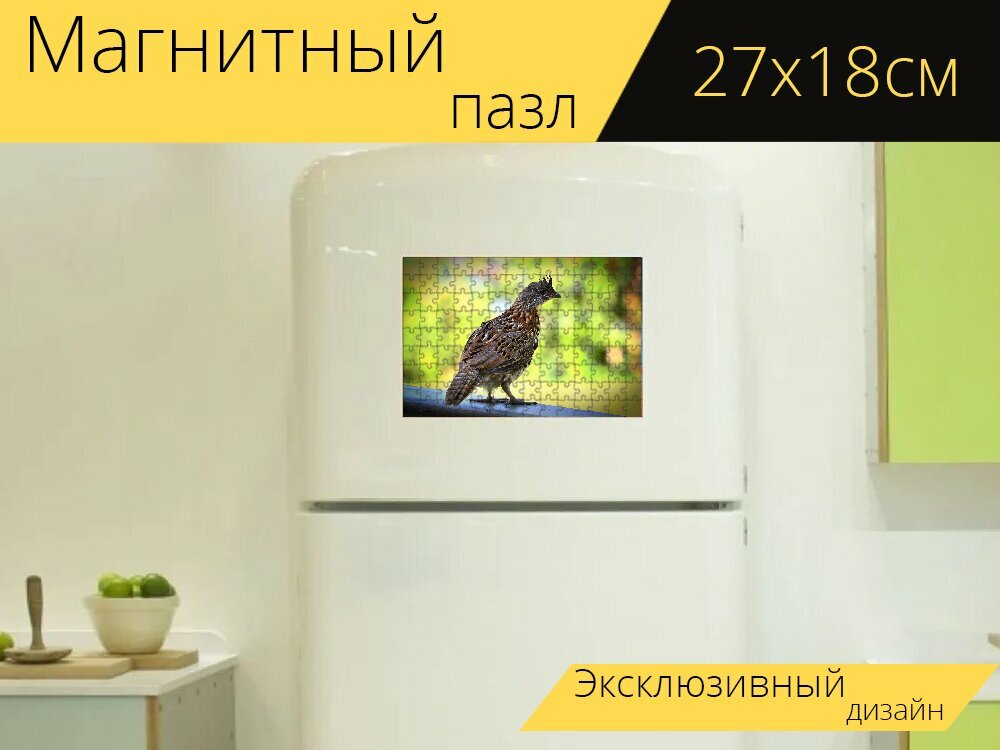Магнитный пазл "Гривистый тетерев, птица, животное" на холодильник 27 x 18 см.
