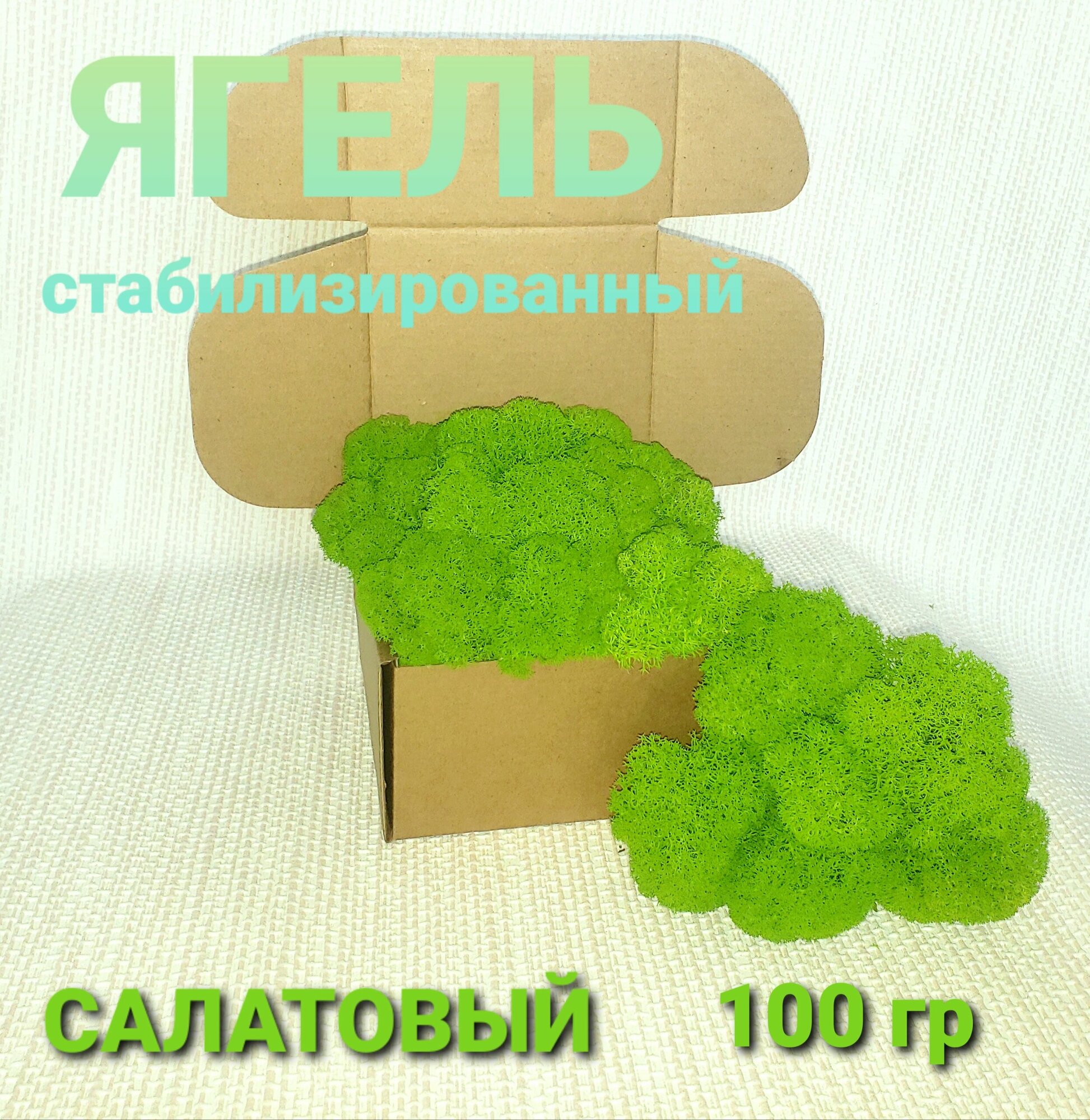 Мох ягель стабилизированный" от ООО "Русальп