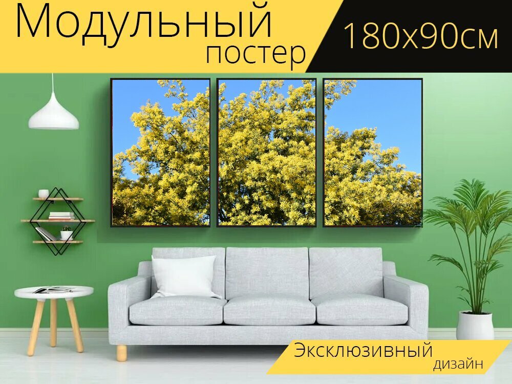 Модульный постер "Мимоза, цветущее дерево, маленькие желтые цветы" 180 x 90 см. для интерьера