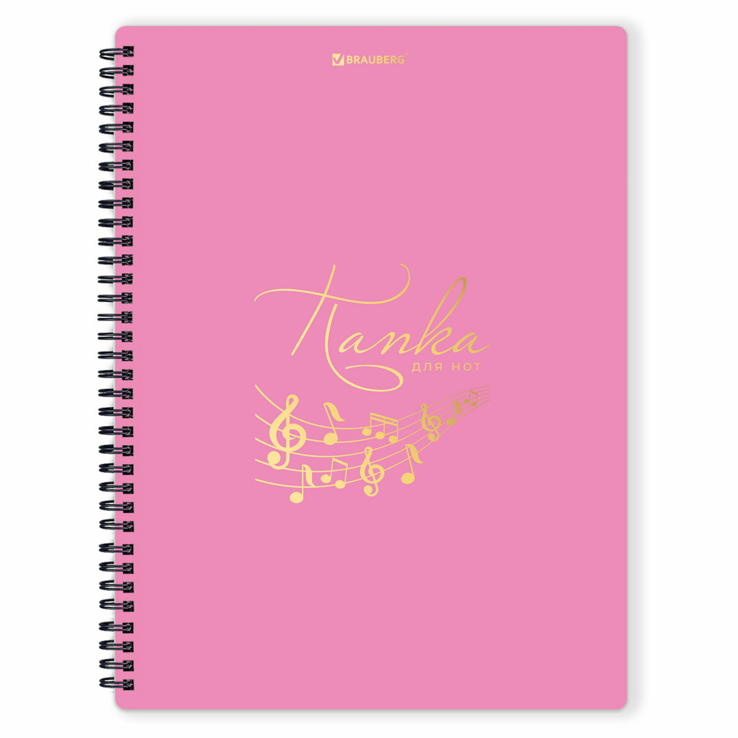 Папка-тетрадь для нот А4, 20 вкладышей на 40 страниц, на гребне, пластик, розовая, BRAUBERG, 404642