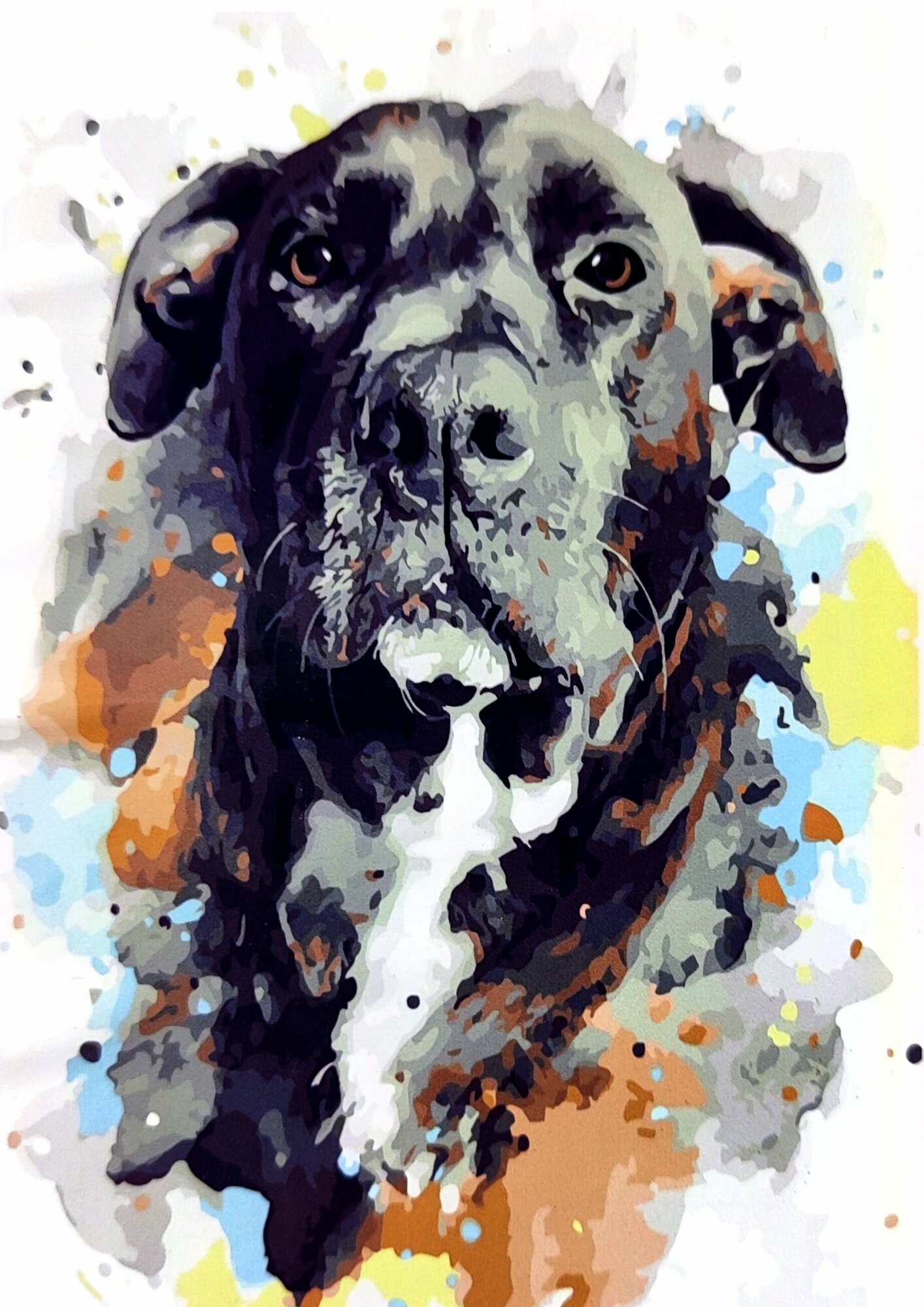 Картина по номерам "животные , черный ретривер, чёрный лабрадор, , Прованс, собаки" 40x50 см