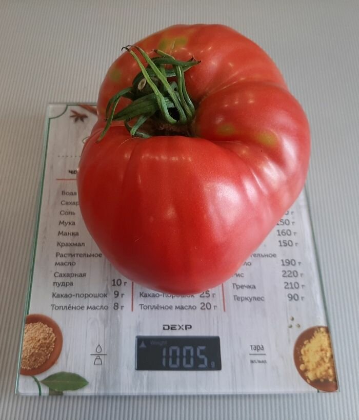 Коллекционные семена томата Минусинские крупные от Веры