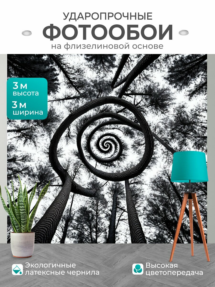 Фотообои моющиеся ударопрочные "Фотообои лес в стиле черно-белый: агрессивные линии деревьев, стянутые в спираль, создающие динамичную композицию" 300x300 см. флизелиновые на стену