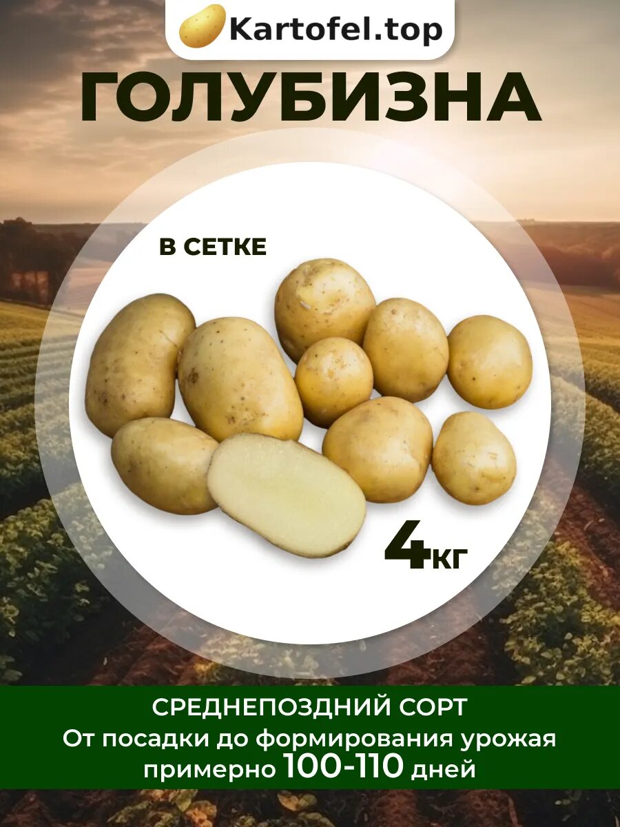Картофель семенной Голубизна 4 кг