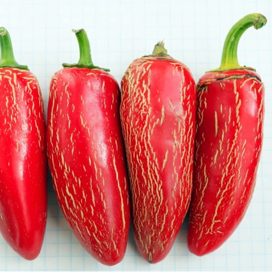 Семена Deodar SEEDS COMPANY Перец острый Jalapeno Tajin 5 шт.