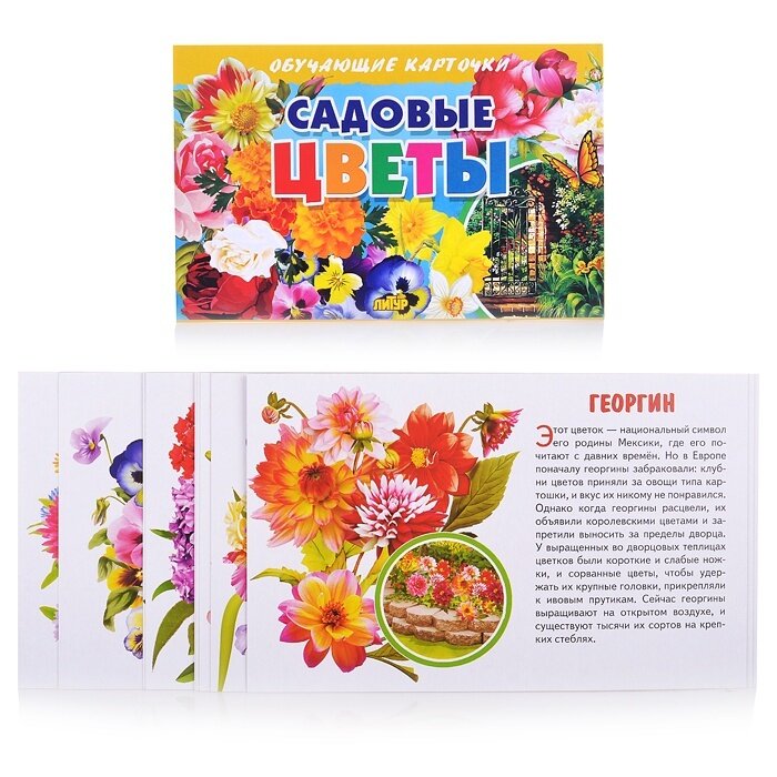 Обучающие карточки Литур Садовые цветы (978-5-9780-1158-6)