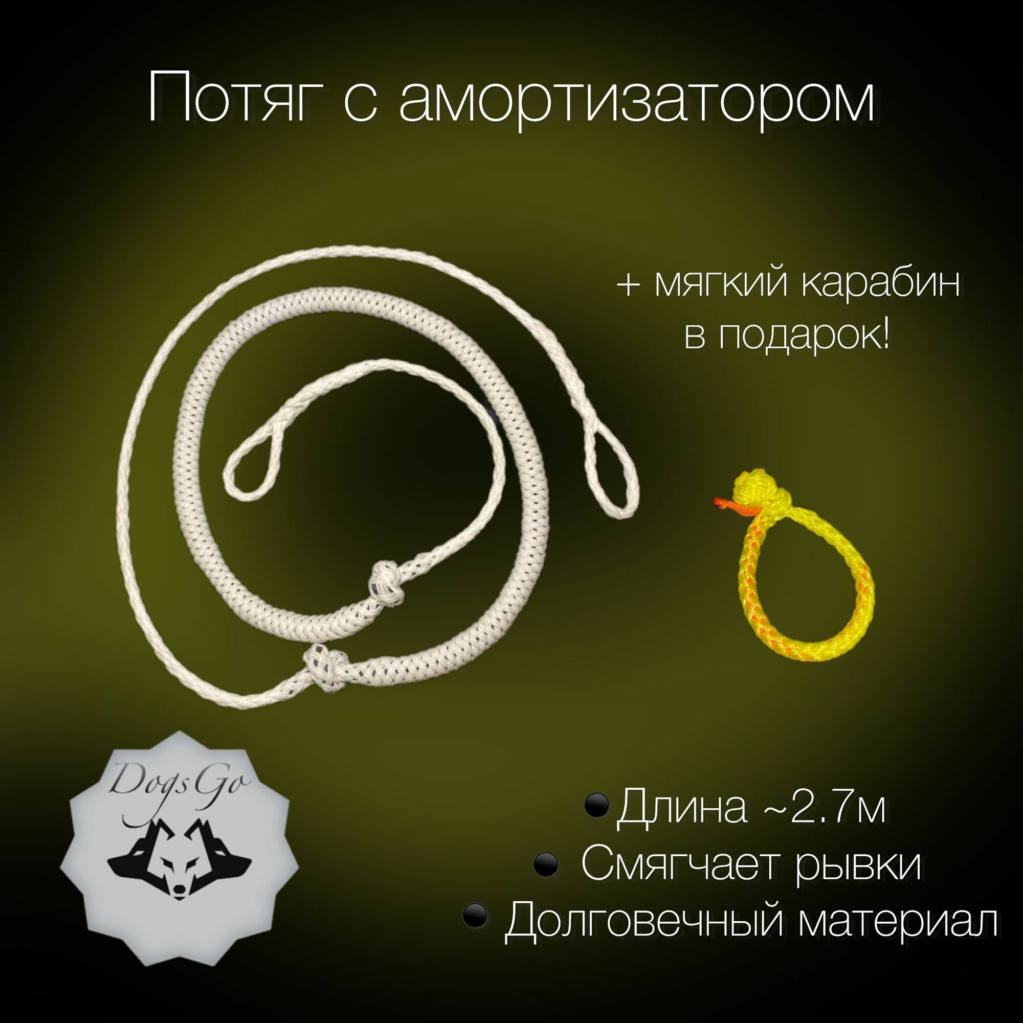 Потяг для ездового спорта