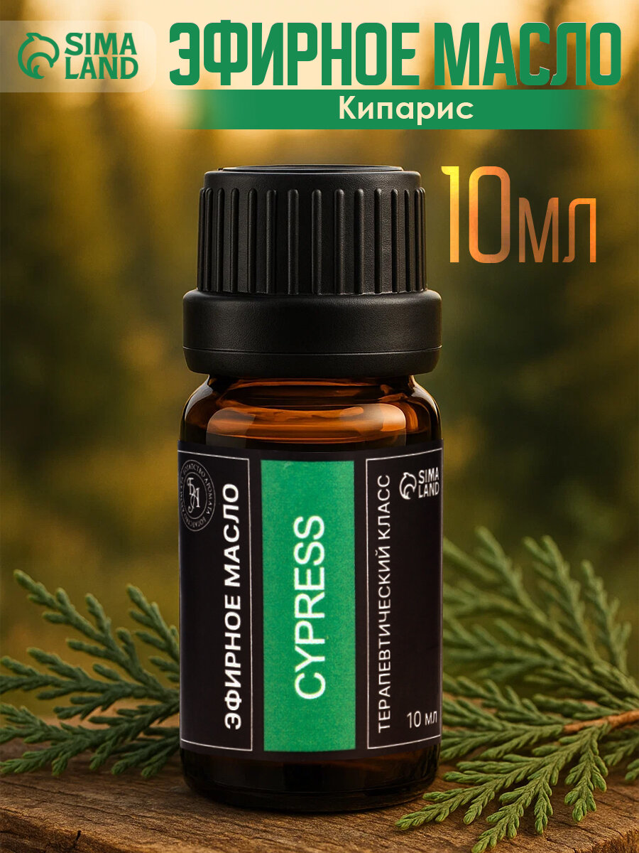 Эфирное масло «Кипарис», 10 миллилитров, в тубусе, древесный аромат