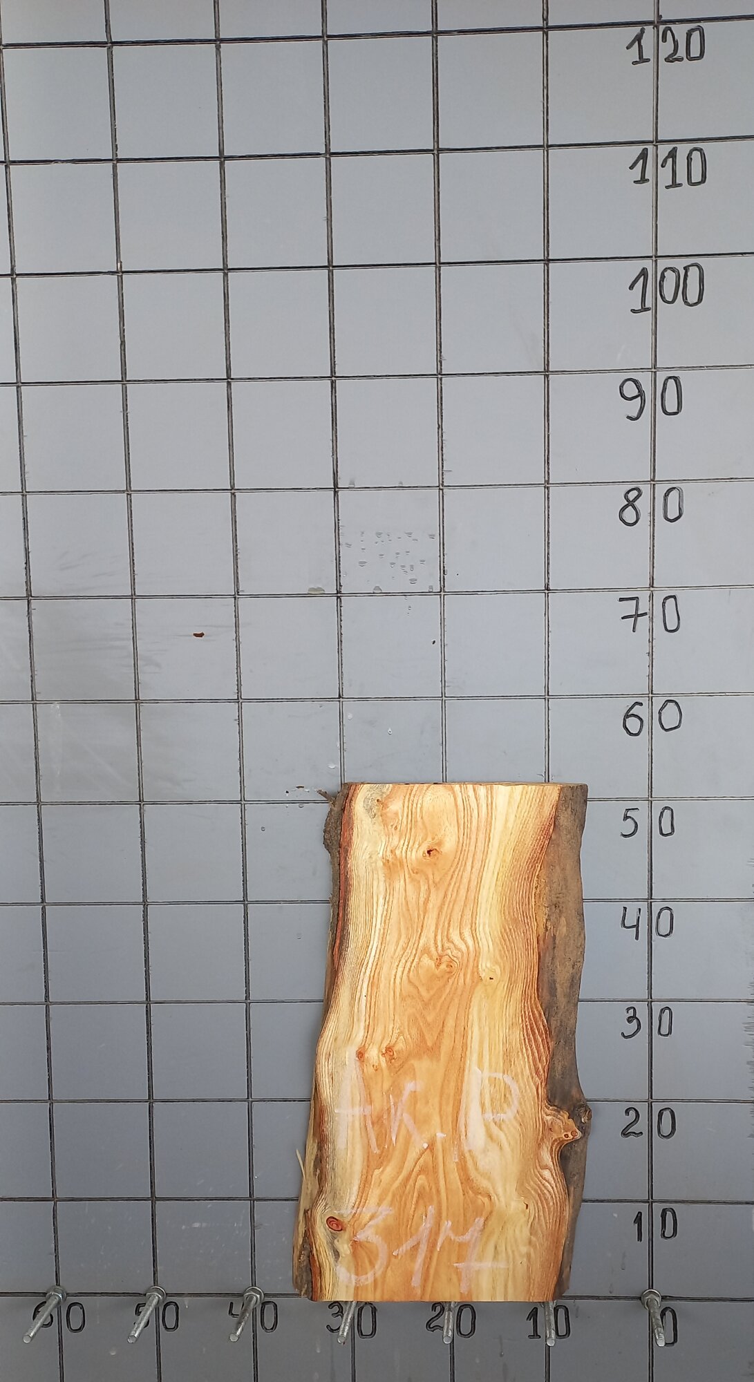 Слэб дерева Доклес Акация Розовая №317 2.5х22х50см, сорт 0-3, необрезной