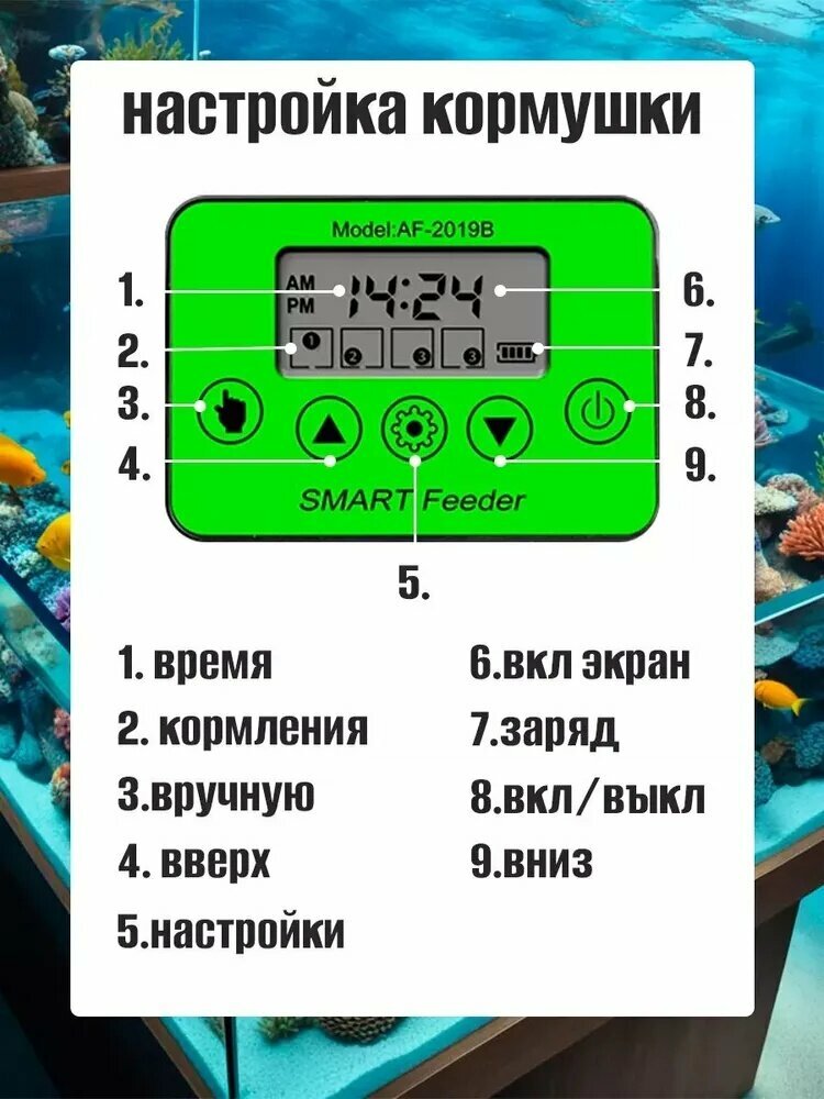 Автокормушка — фото 1