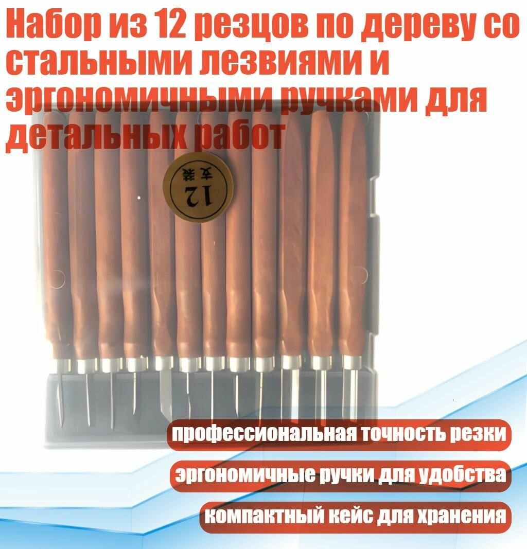 Набор из 12 резцов по дереву со стальными лезвиями и эргономичными ручками для детальных работ, - Пластиковый ящик
