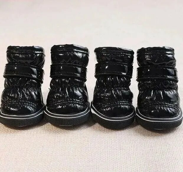 Кеды для собак Freedogs (Размер 1)