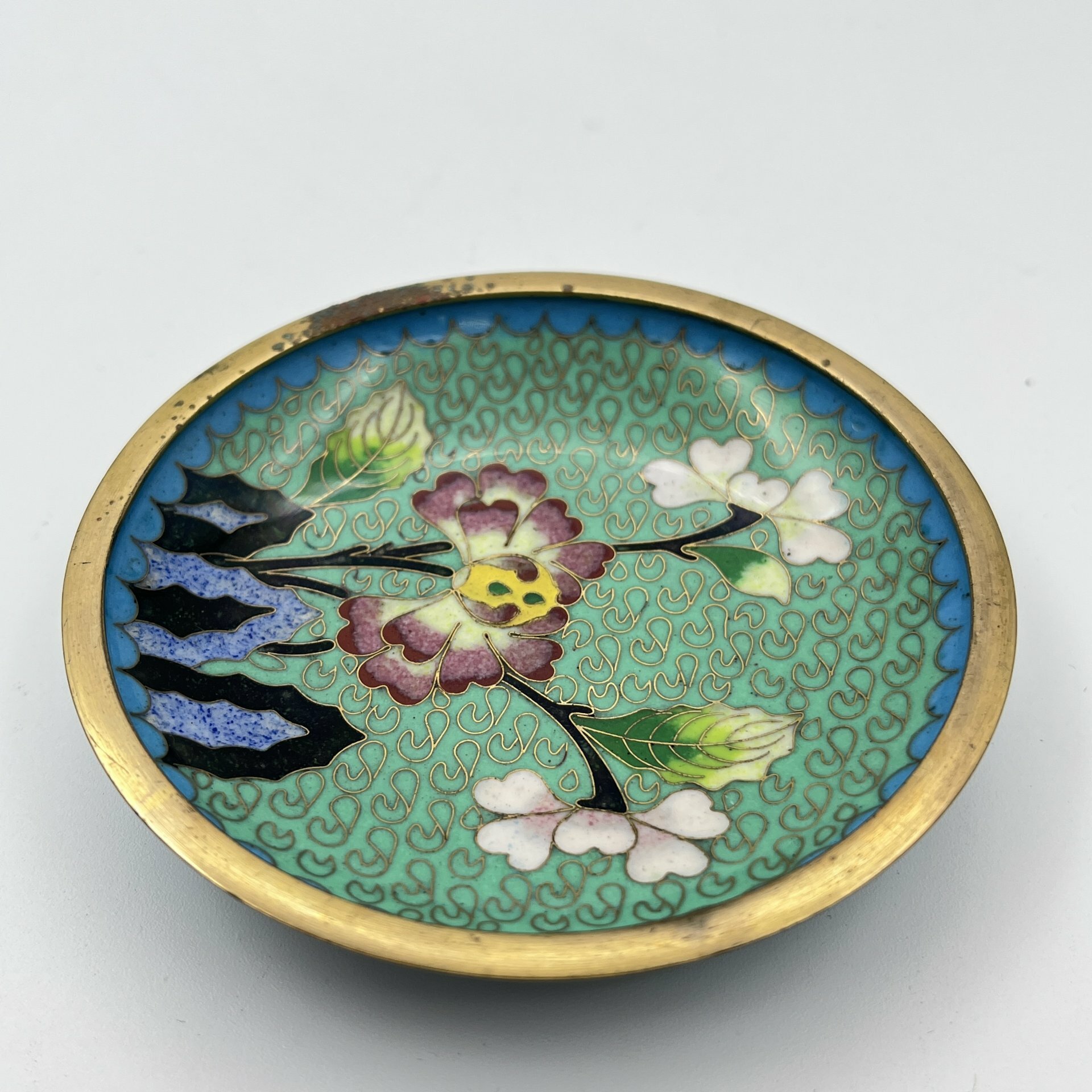 Розетка с цветочным декором на зеленом узорчатом фоне с голубой каймой