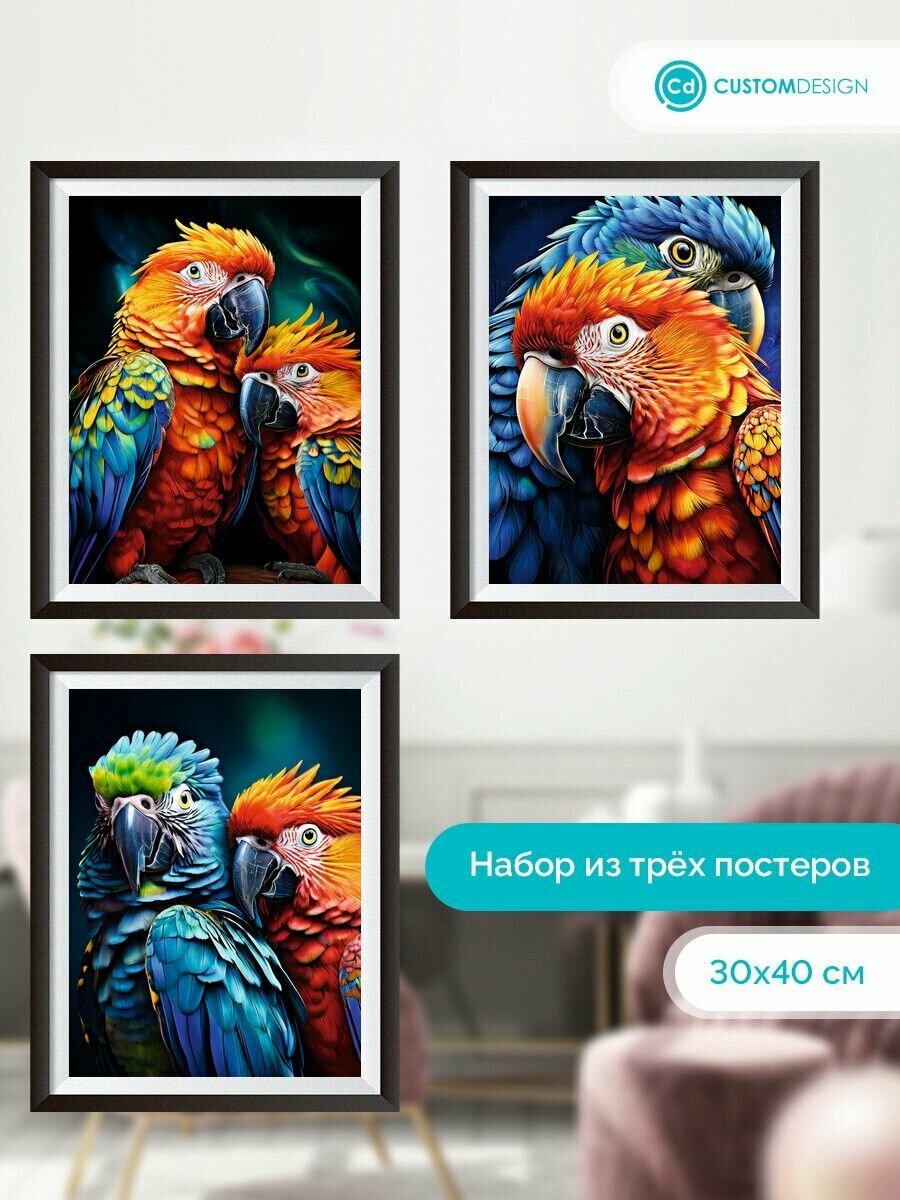 Постеры на стену для интерьера Птицы 30х40 см 3 штуки