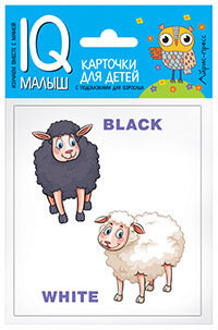 Умный малыш. ENGLISH. Противоположности. IQ малыш