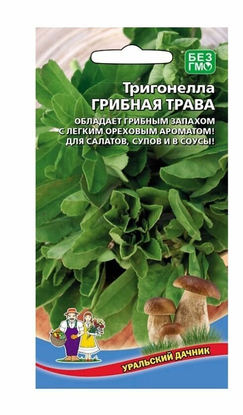 Тригонелла грибная трава (1г)Пряно-ароматическое растение семейства бобовых