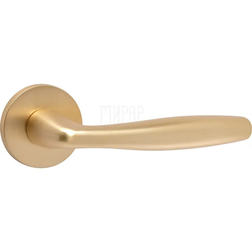 Дверная ручка Punto (Пунто) на круглой розетке "FORTUNA" золото