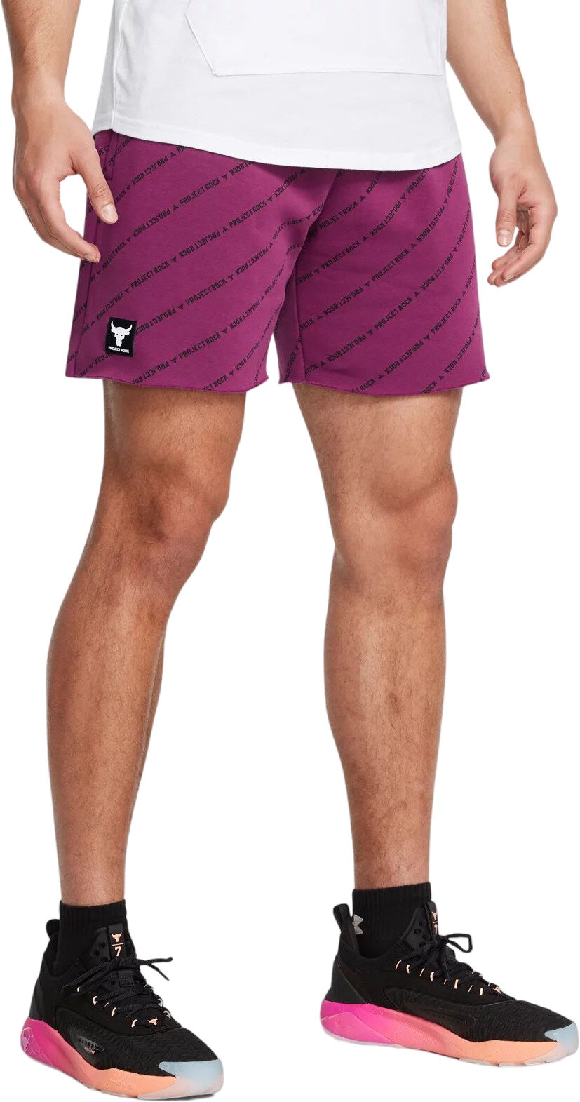 Шорты спортивные Pjt Rck Icon Flc Short Pt Boh