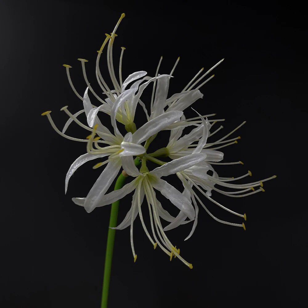 SunMade Волшебная ветвь лилии Эквинокс искусственные шелковые цветы Белый, Milky White